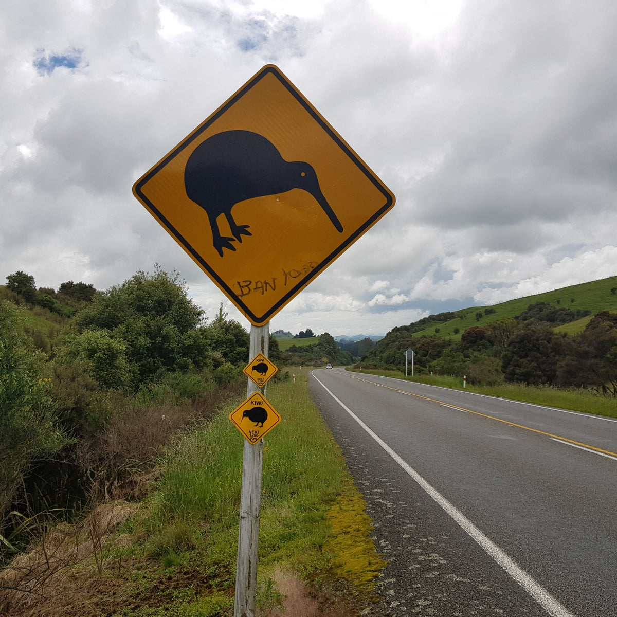 Kiwi Roadsign (2 sizes) – Rozcraft Ltd
